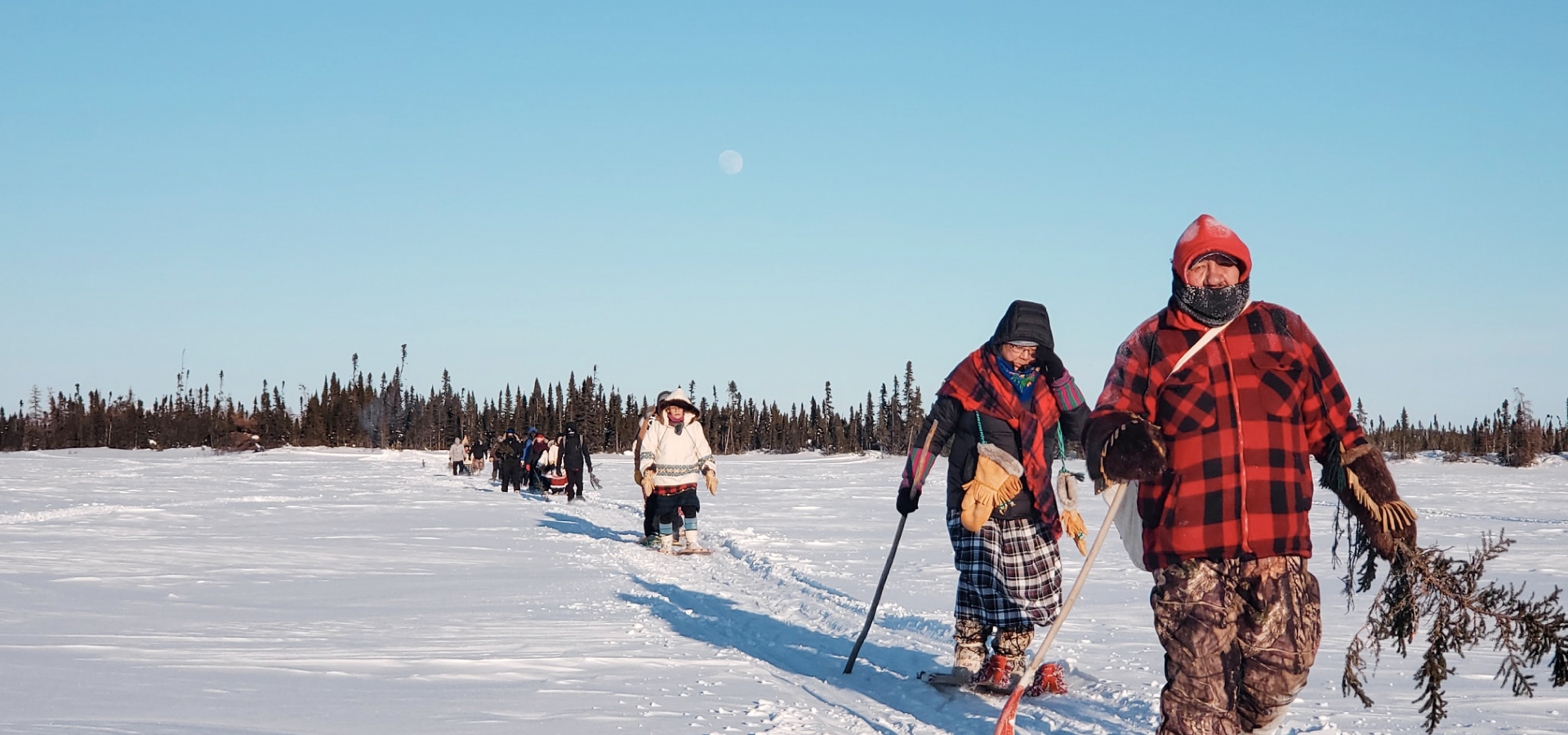 Components | Nemaska